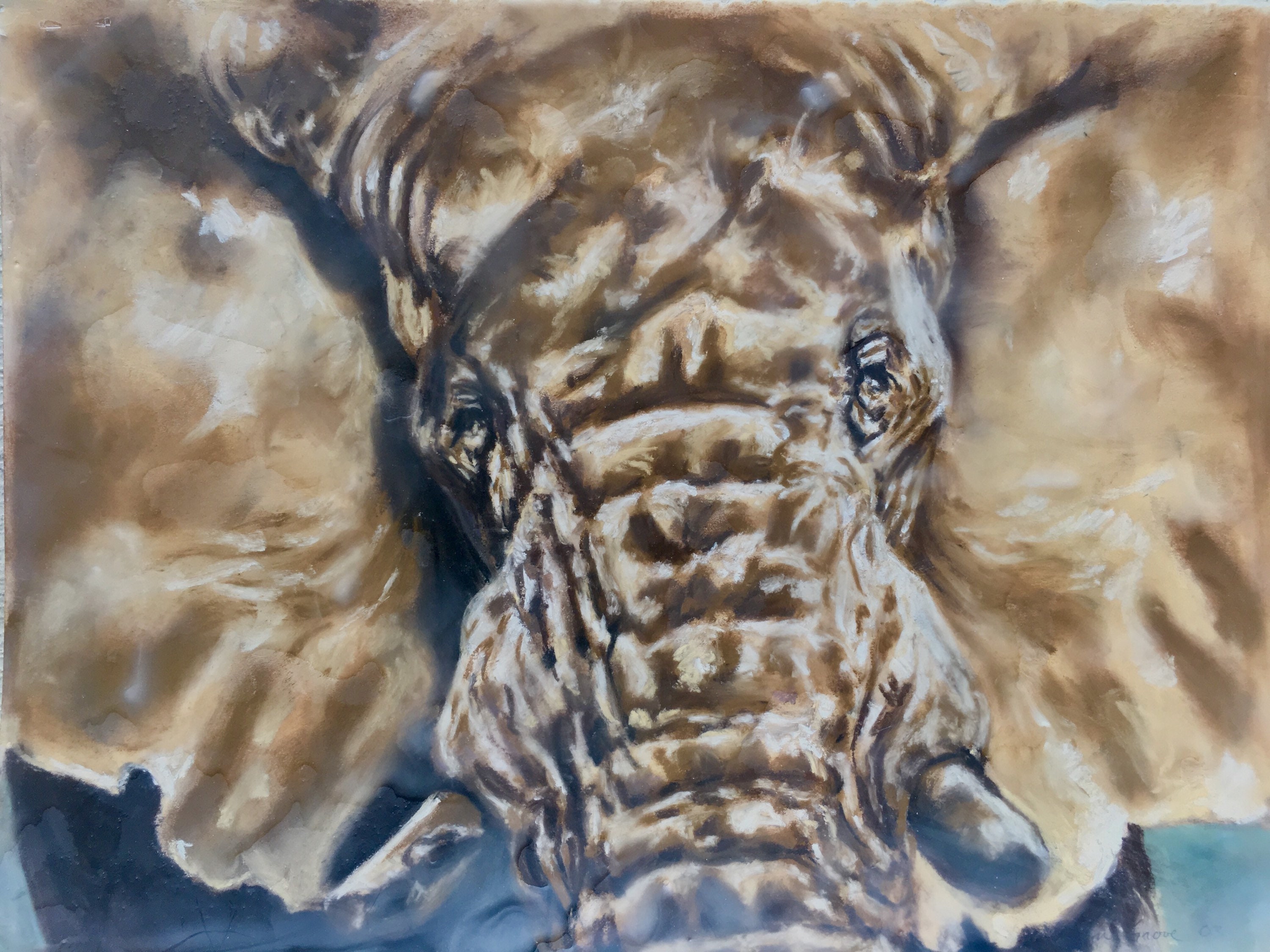 PASTEL ELEPHANT DRAWING Elephant Bull Original Art Chalk | Etsy