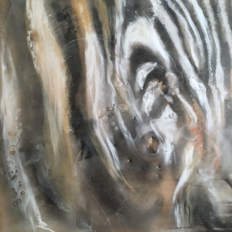 Zebra Yearling Encaustic Painting: Original Oil Pastel Art by Kindrie ...