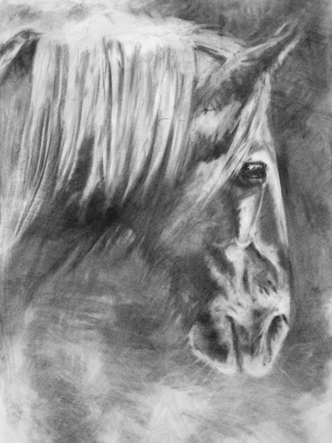 Shire Horse Drawing: Original Encaustic Charcoal Portrait by Kindrie ...