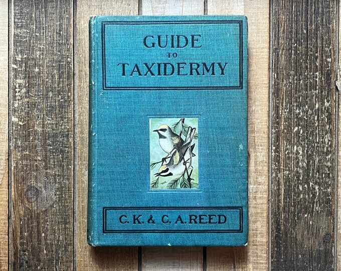 Vintage Taxidermy Book Hunting Cabin Decor Gift for Him Deer Camp Lodge ...