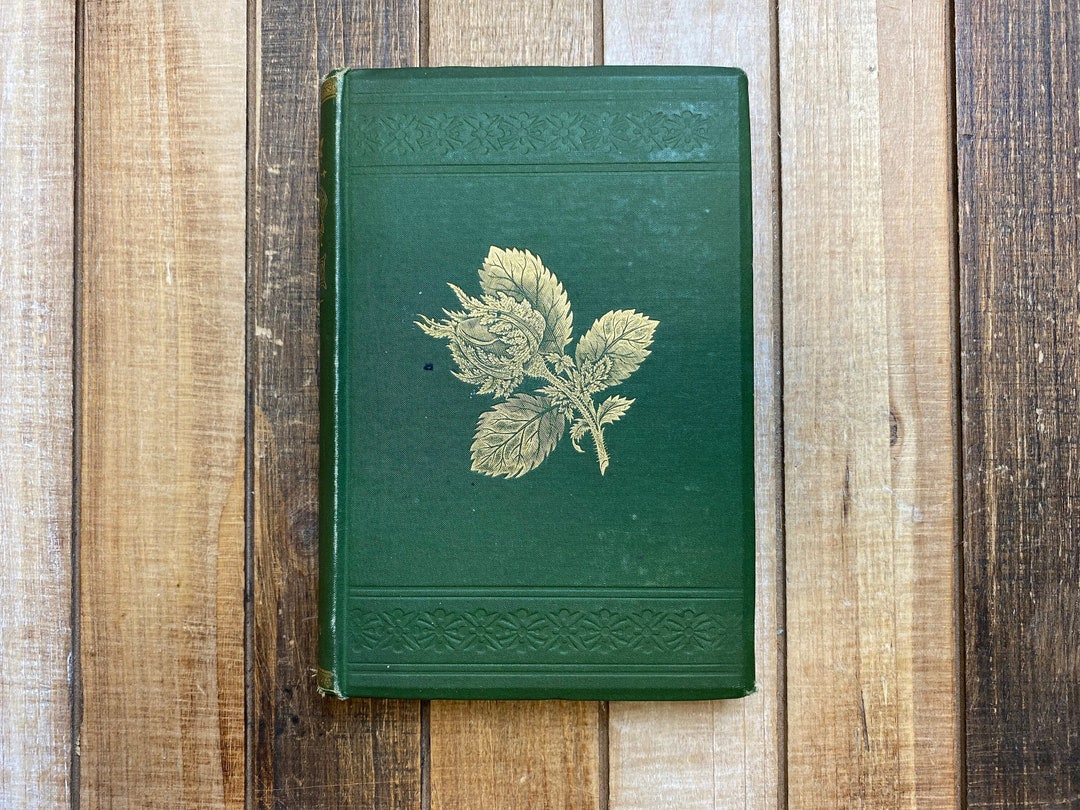 Vintage Rose Book Parsons on the Rose Garden Flowers Gift for Gardener ...