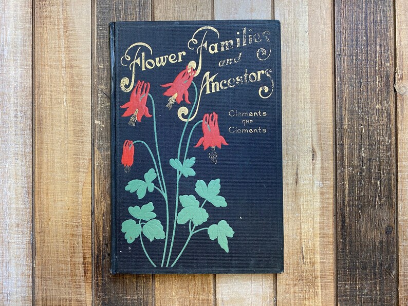 Vintage Flower Book West Coast Flower Families and Ancestors Pink Red ...