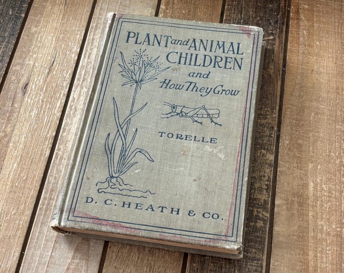 Vintage Plant and Animal Children Book Spring Flower Garden Summer ...