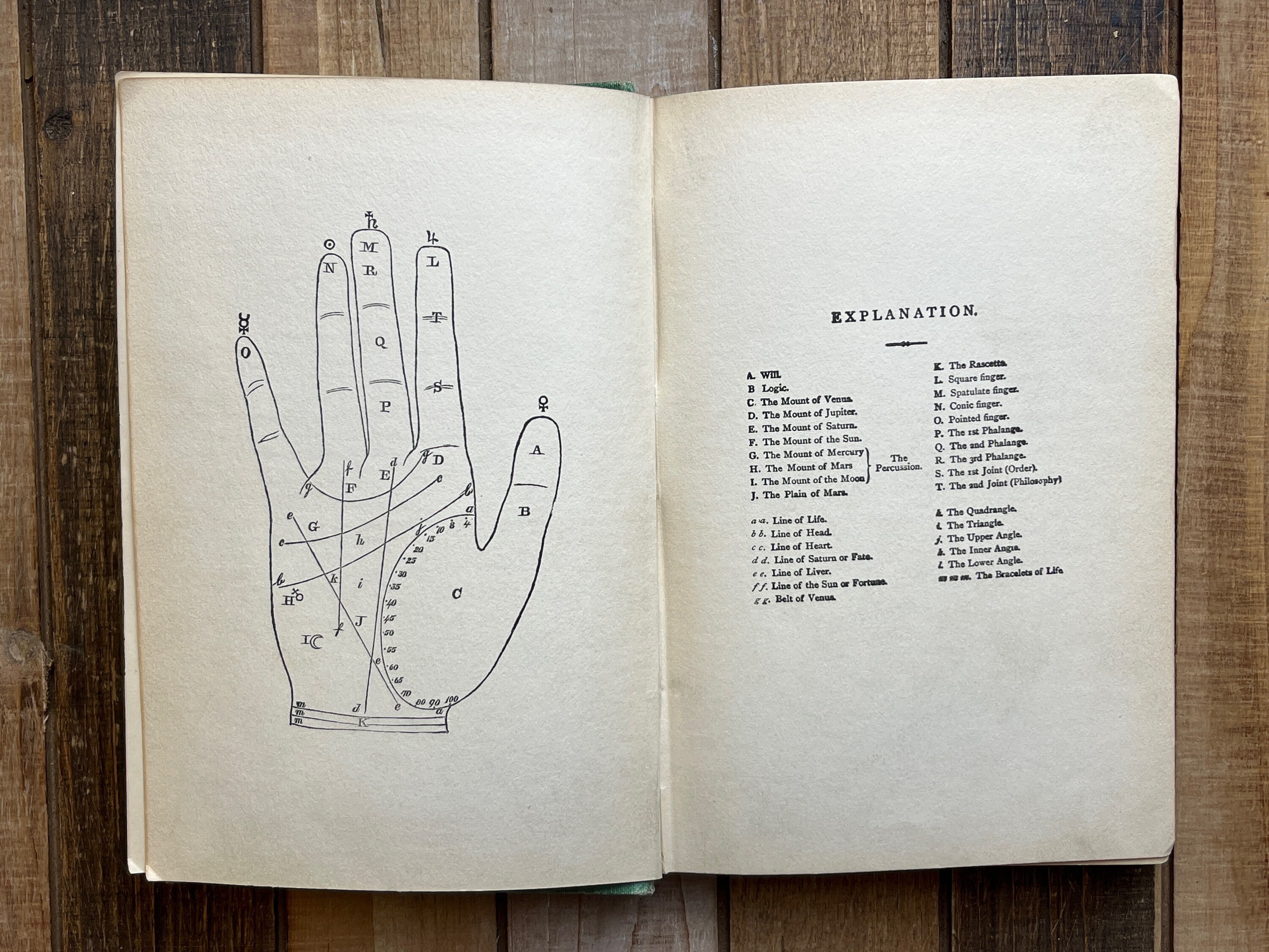Vintage Palmistry Book Fortune Telling the Language of the Hand Occult ...