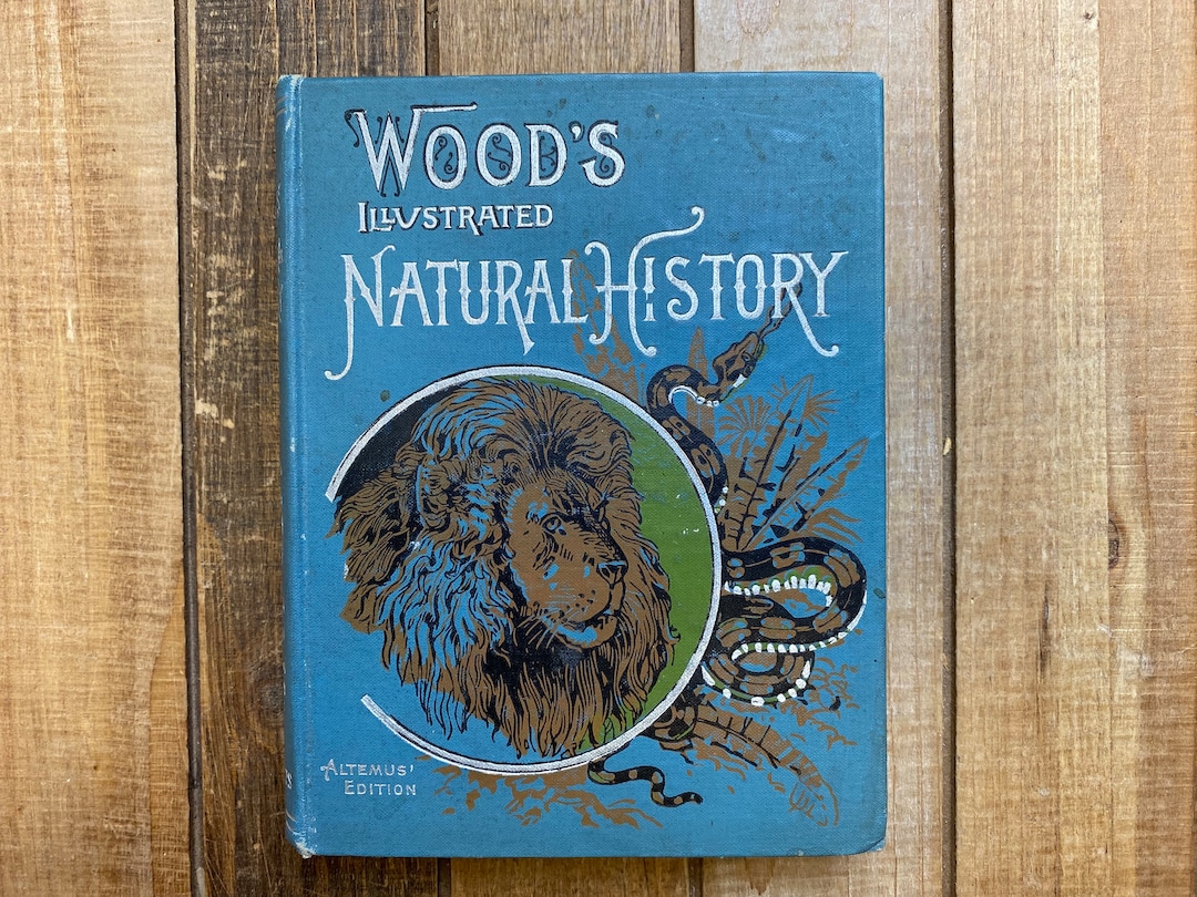 Vintage Nature Book Woods Illustrated Natural History Vintage Natural ...