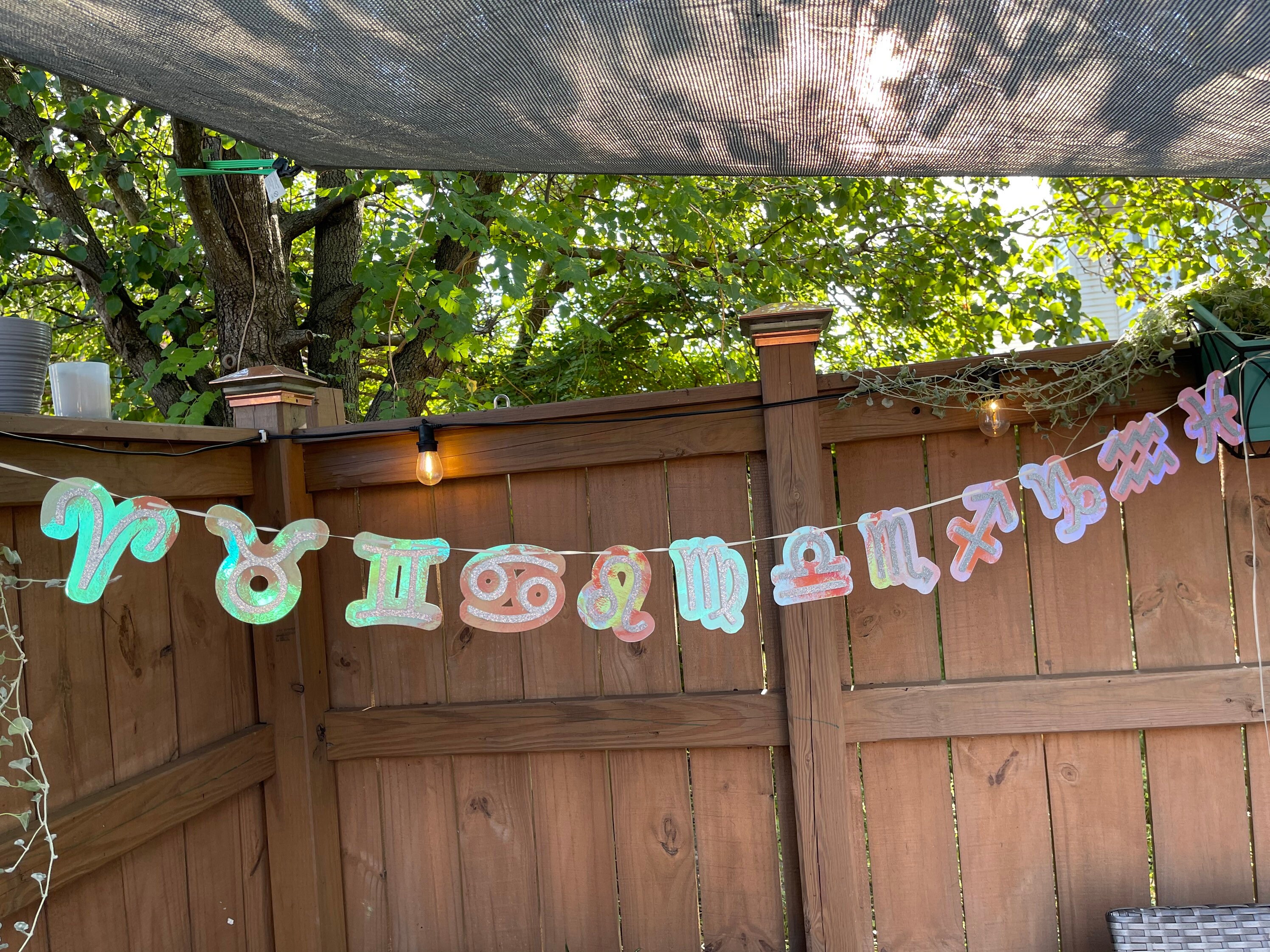 Zodiac Signs Banner Zodiac Season Party Decoration Group - Etsy