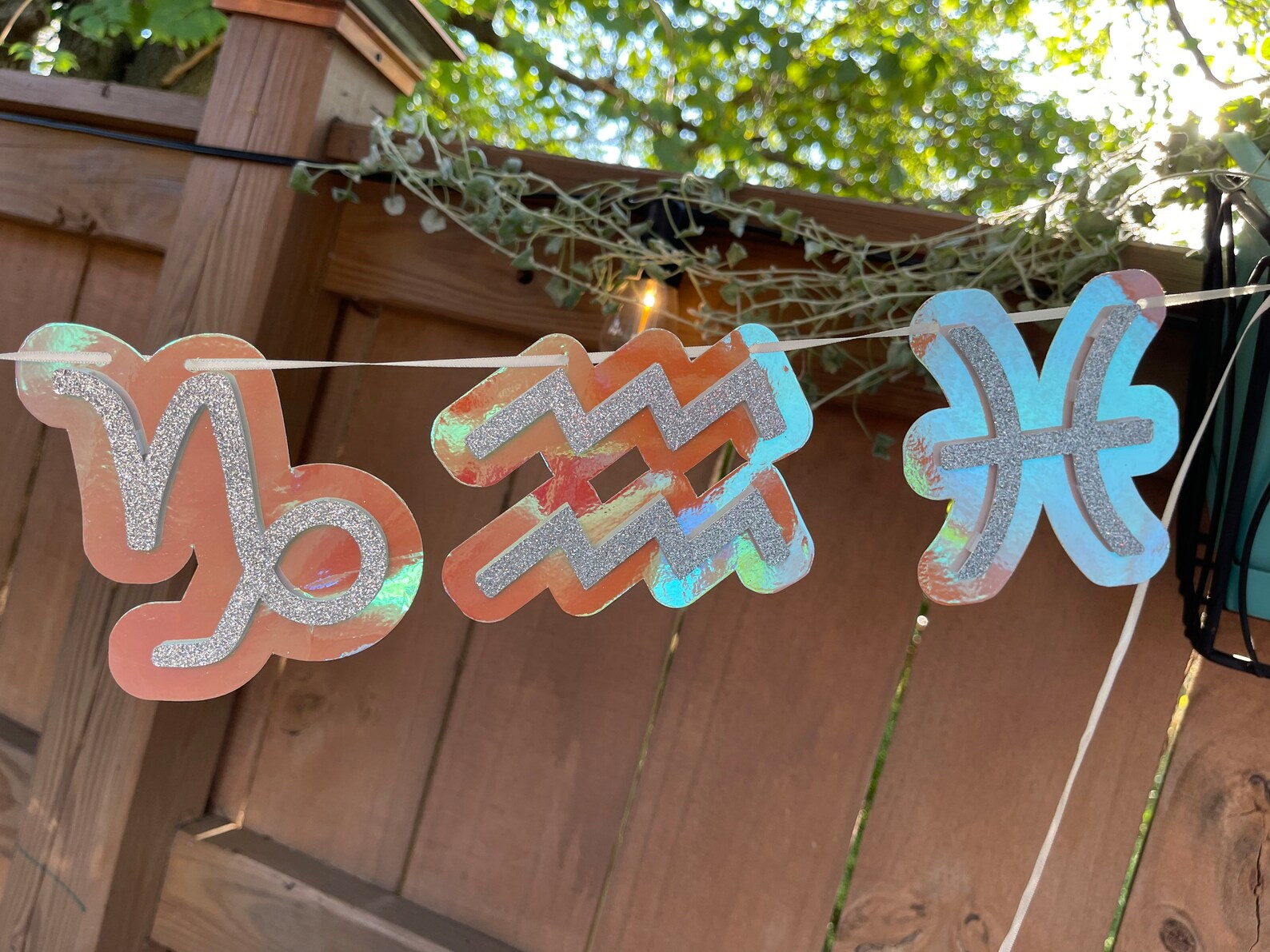 Zodiac Signs Banner Zodiac Season Party Decoration Group - Etsy