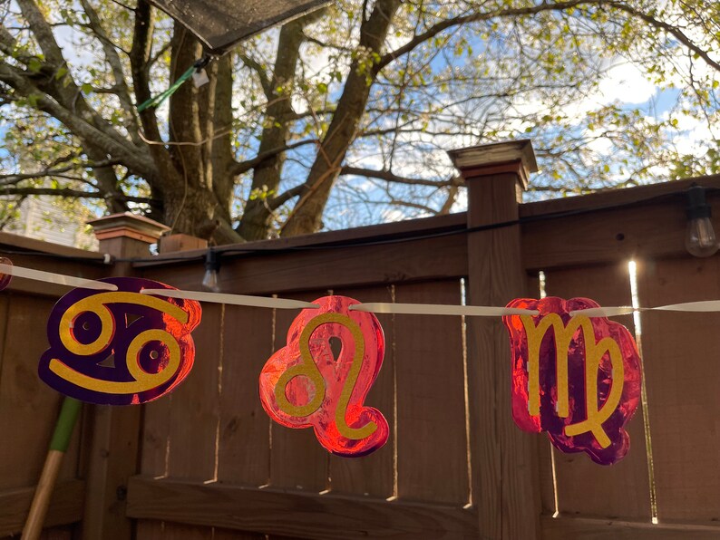 Zodiac Signs Banner Zodiac Season Party Decoration Group Birthday Party ...