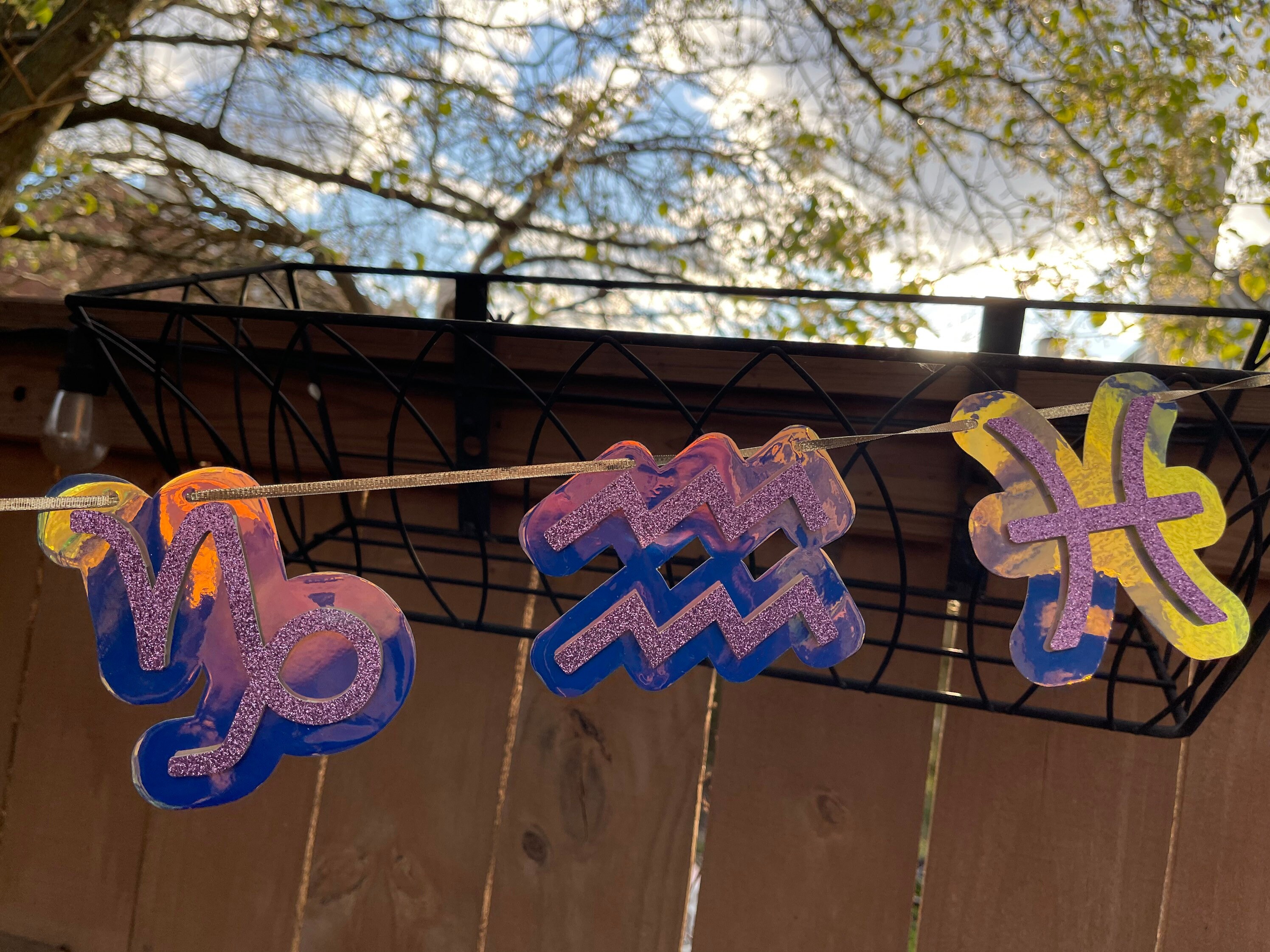 Zodiac Signs Banner Zodiac Season Party Decoration Group Birthday Party ...