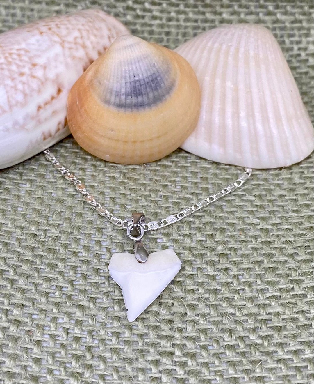 Upper Jaw Bull Shark Tooth Necklace Shark Teeth Nautical Necklace Chain ...