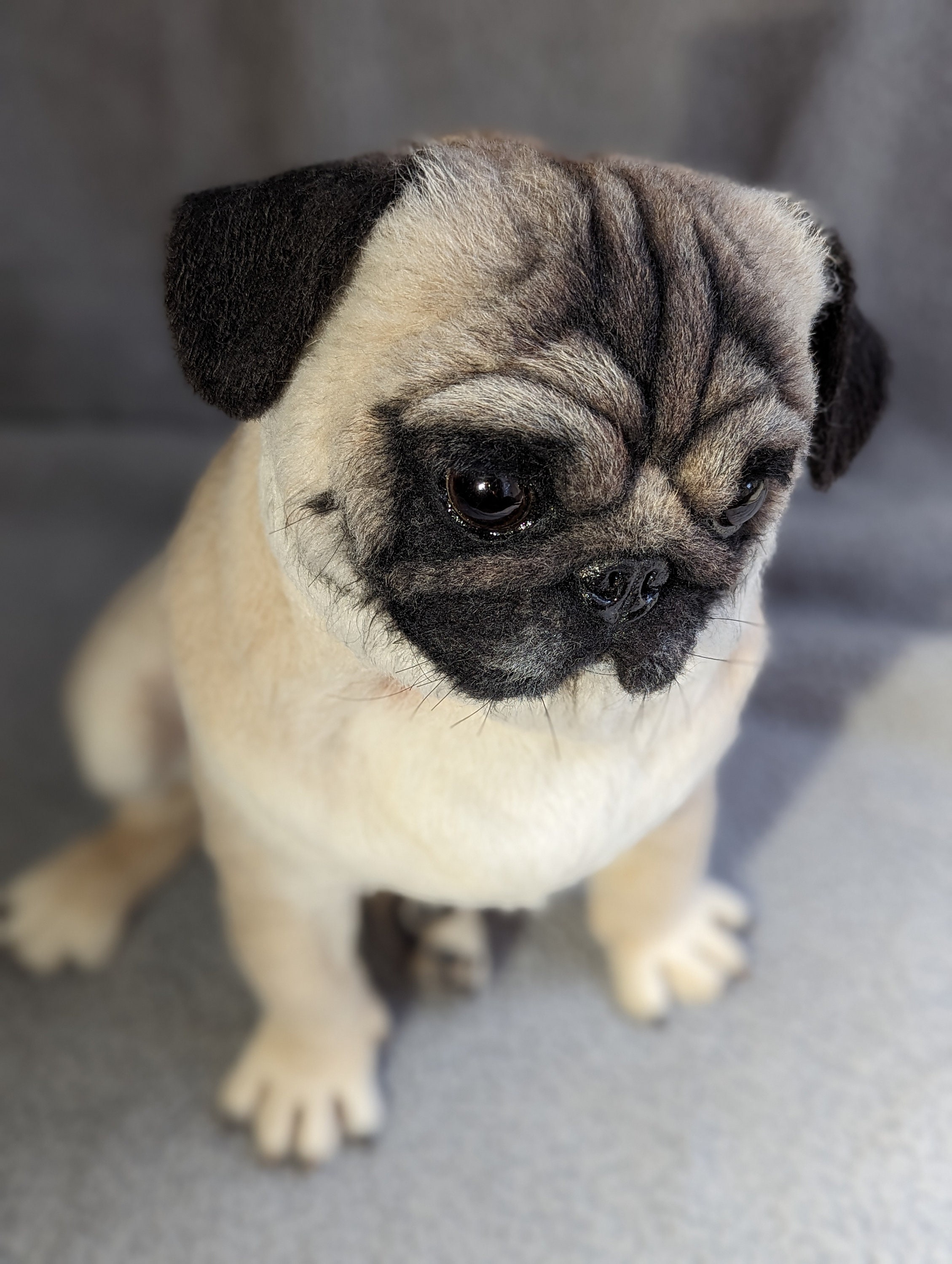 Handmade Felted Sculpture of a Pug (young Adult Dog ) - Etsy