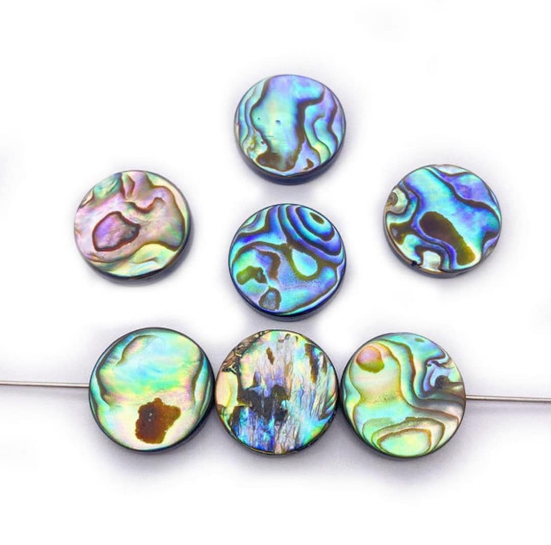 Nature Abalone Shell Beads, Two Sides With Holes, 10mm to 20mm(b1462 ...