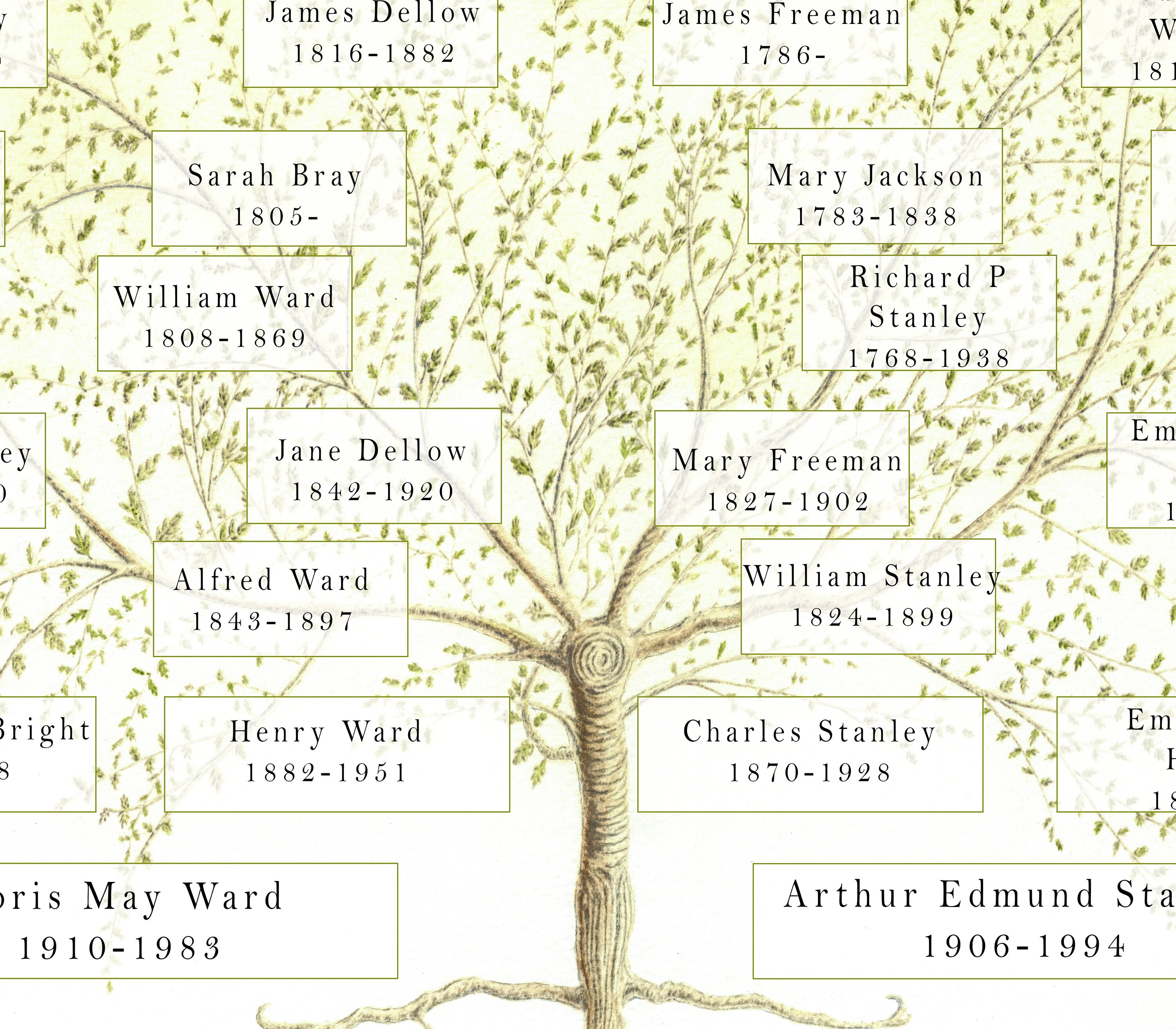 Family Tree JPEGCustom Ancestry TreeGift for MumGenealogy | Etsy