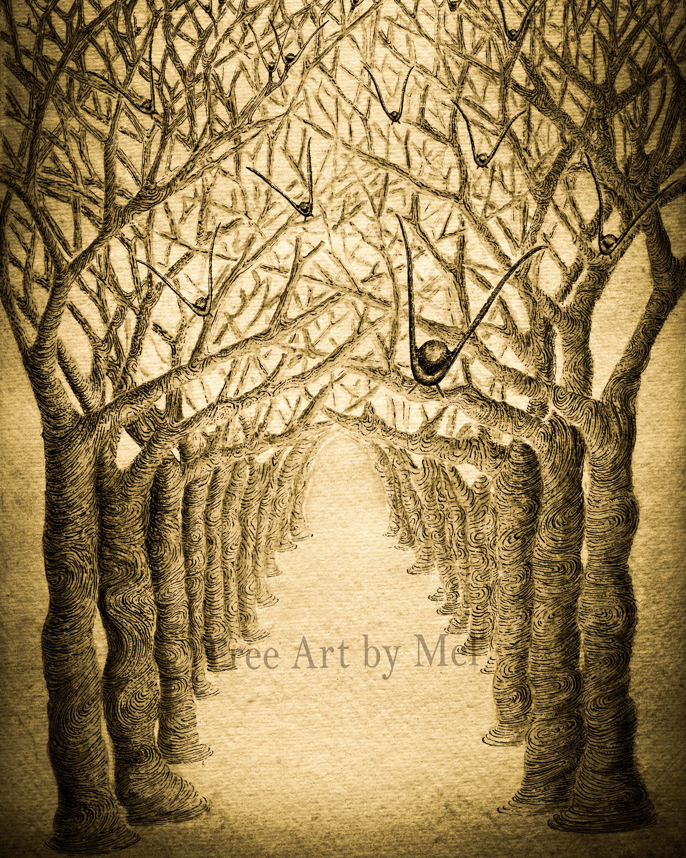 Tunnel Of Trees Framed Art