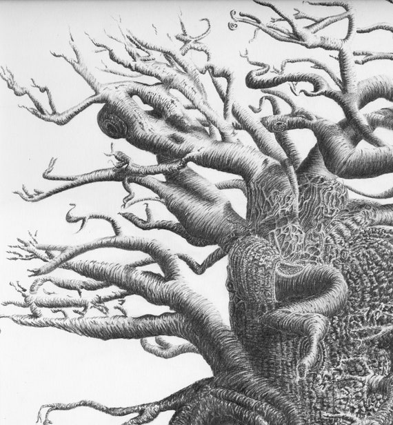 Abstract Tree Pencil Drawings
