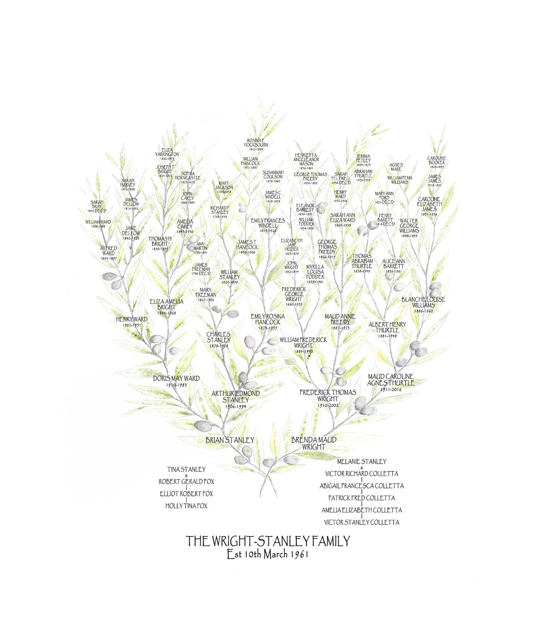 Olive Family Tree JPEG, Personalised Ancestry Chart, Custom Genealogy ...