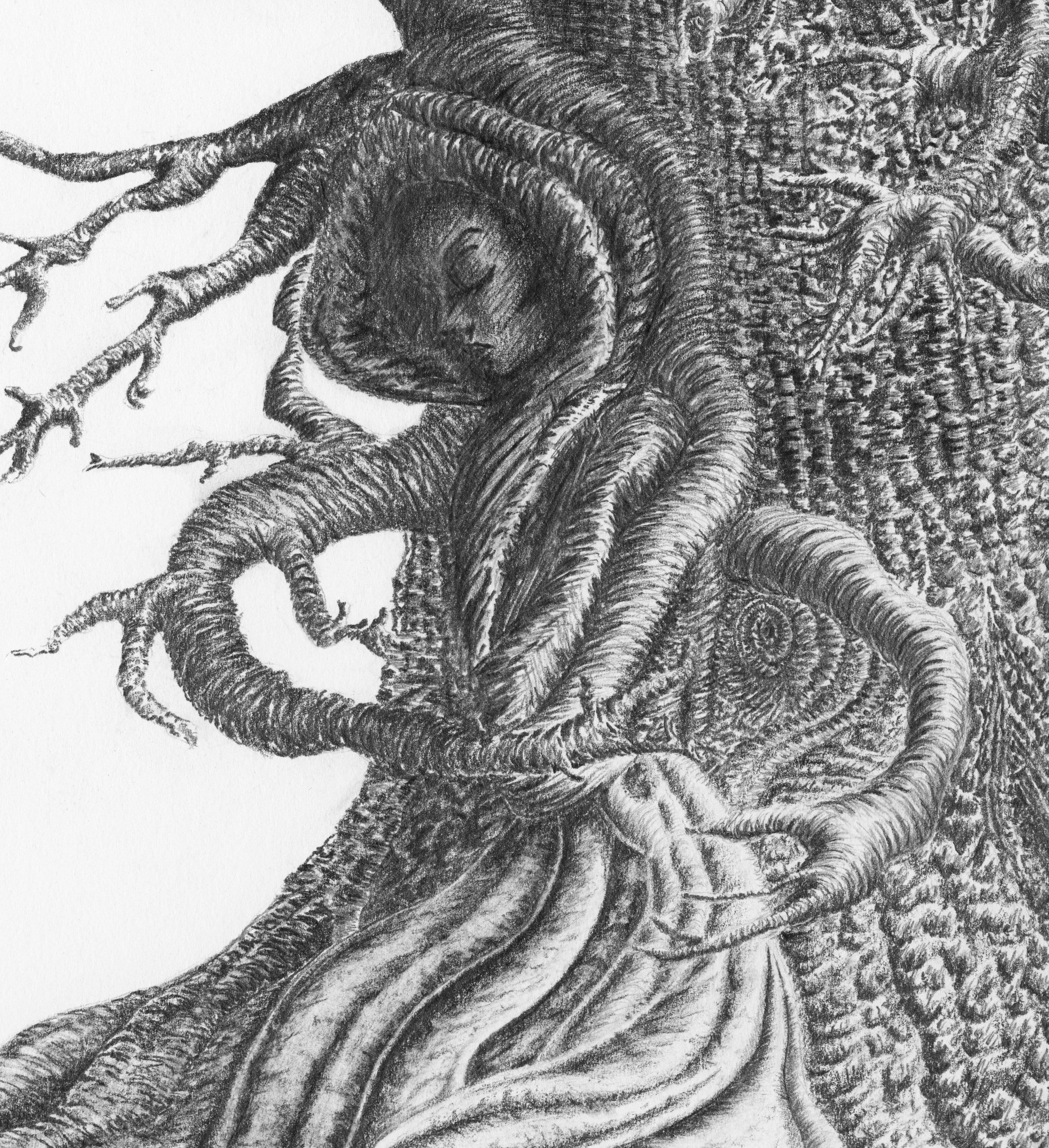 Limited edition framed art print of abstract tree pencil | Etsy