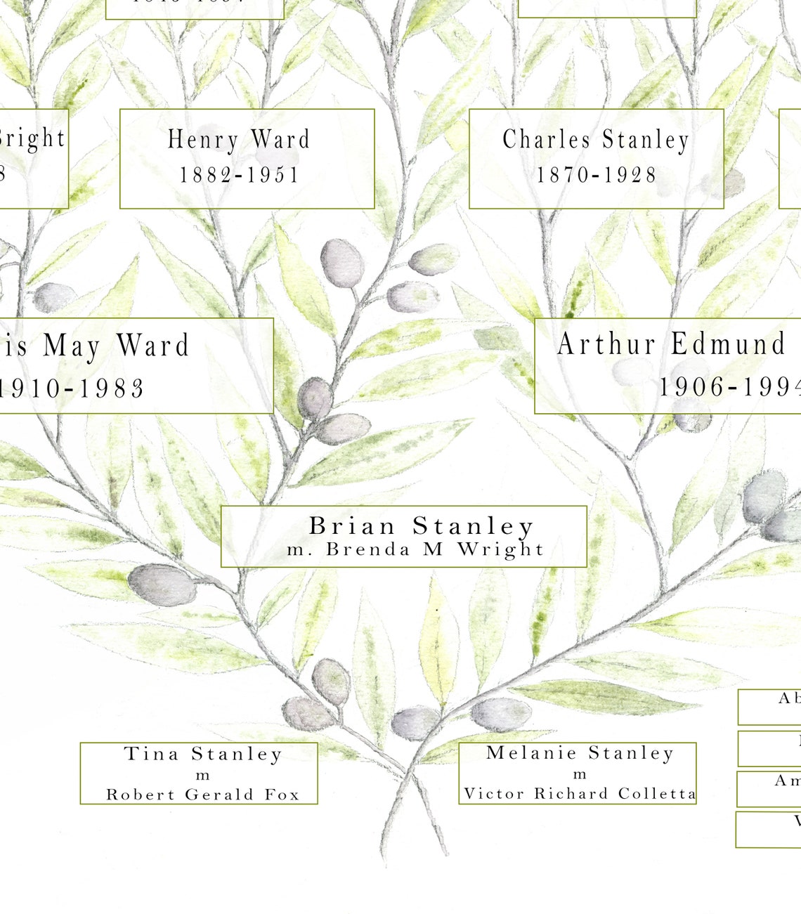 Watercolour Olive Family Tree for up to 7 Generations of - Etsy UK