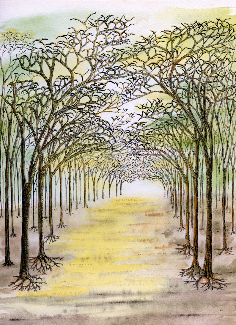 Avenue Tree Print Pen Ink Trees Watercolour Tree Print - Etsy