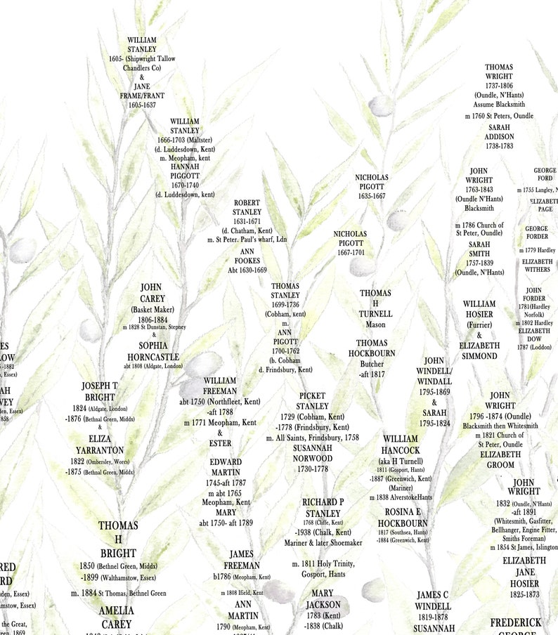 Olive Family Tree JPEG Personalised Ancestry Chart Custom Etsy olive-family-tree-jpeg-personalised-ancestry-chart-custom-etsy