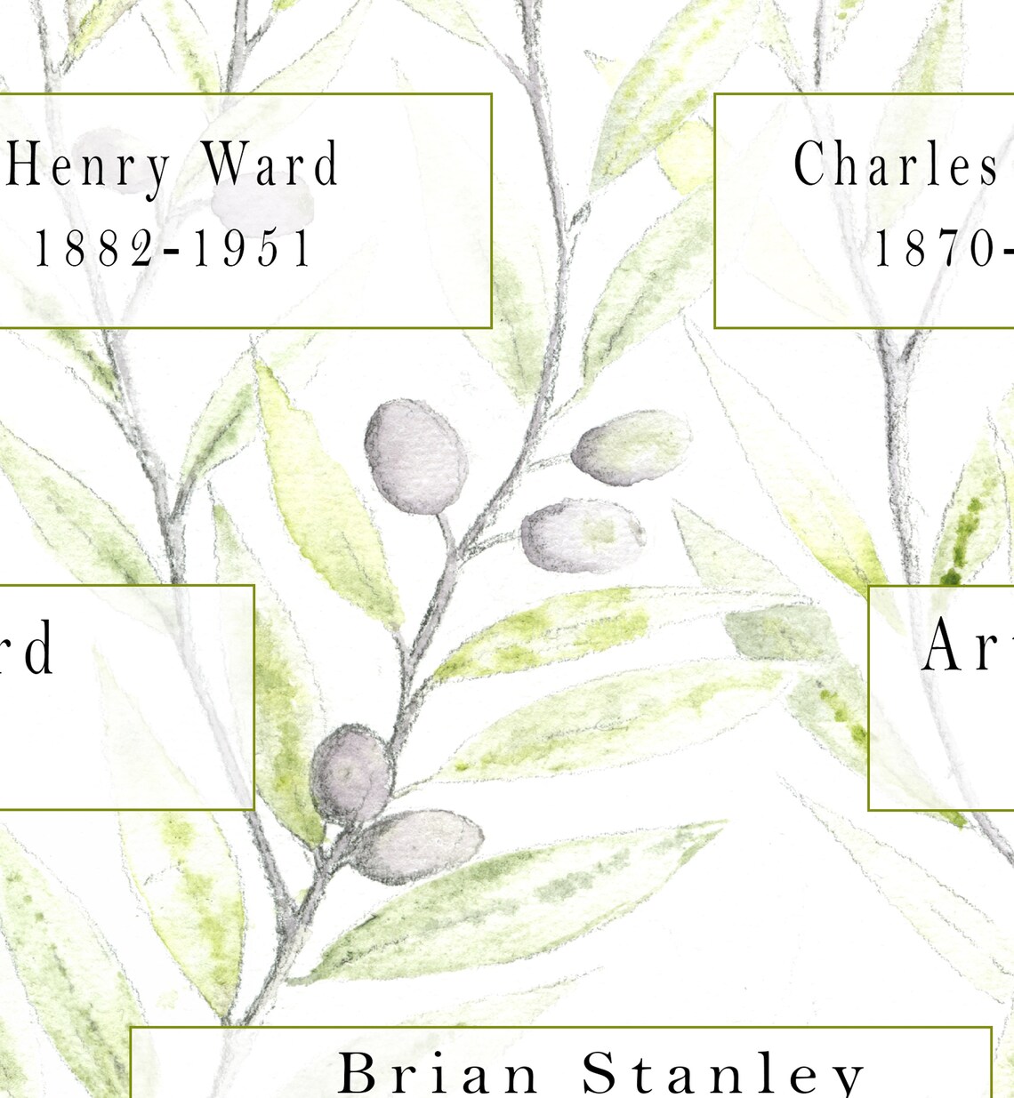 Watercolour Olive Family Tree for up to 7 Generations of - Etsy UK
