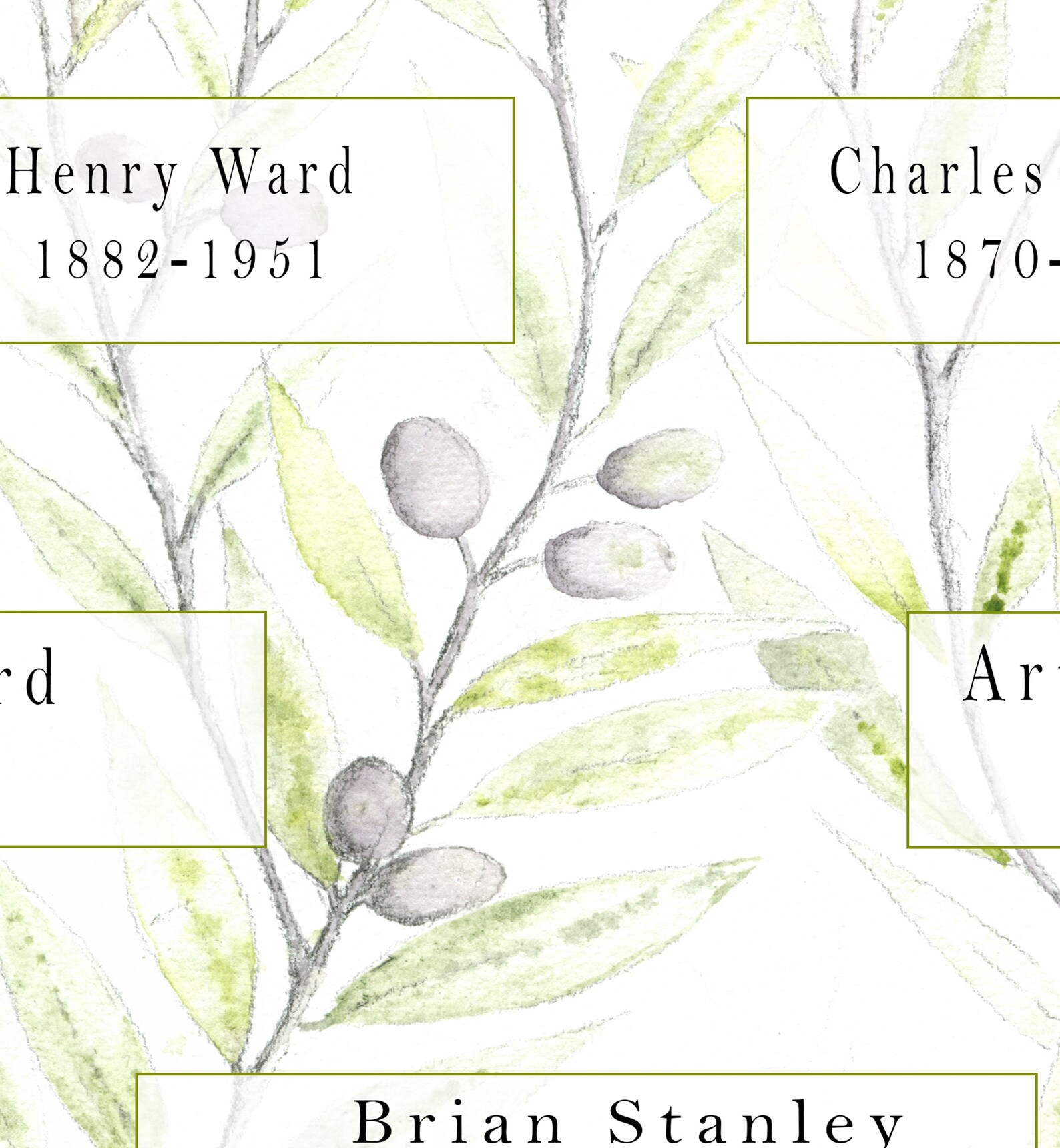 Watercolour Olive Family Tree for up to 7 Generations of - Etsy UK