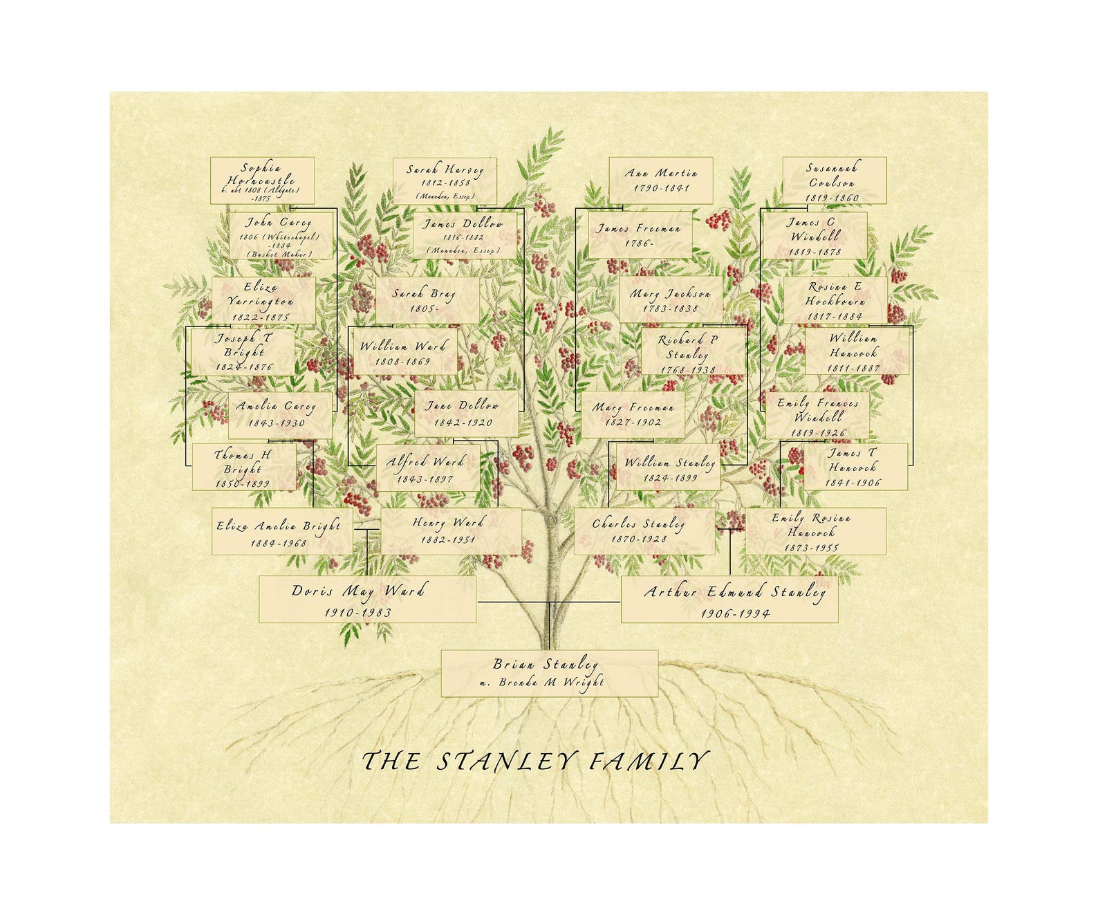 Family Tree Chart Print Customised With Your Ancestors and Descendants ...