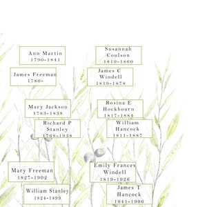 Watercolour Olive Family Tree for up to 7 Generations of - Etsy UK