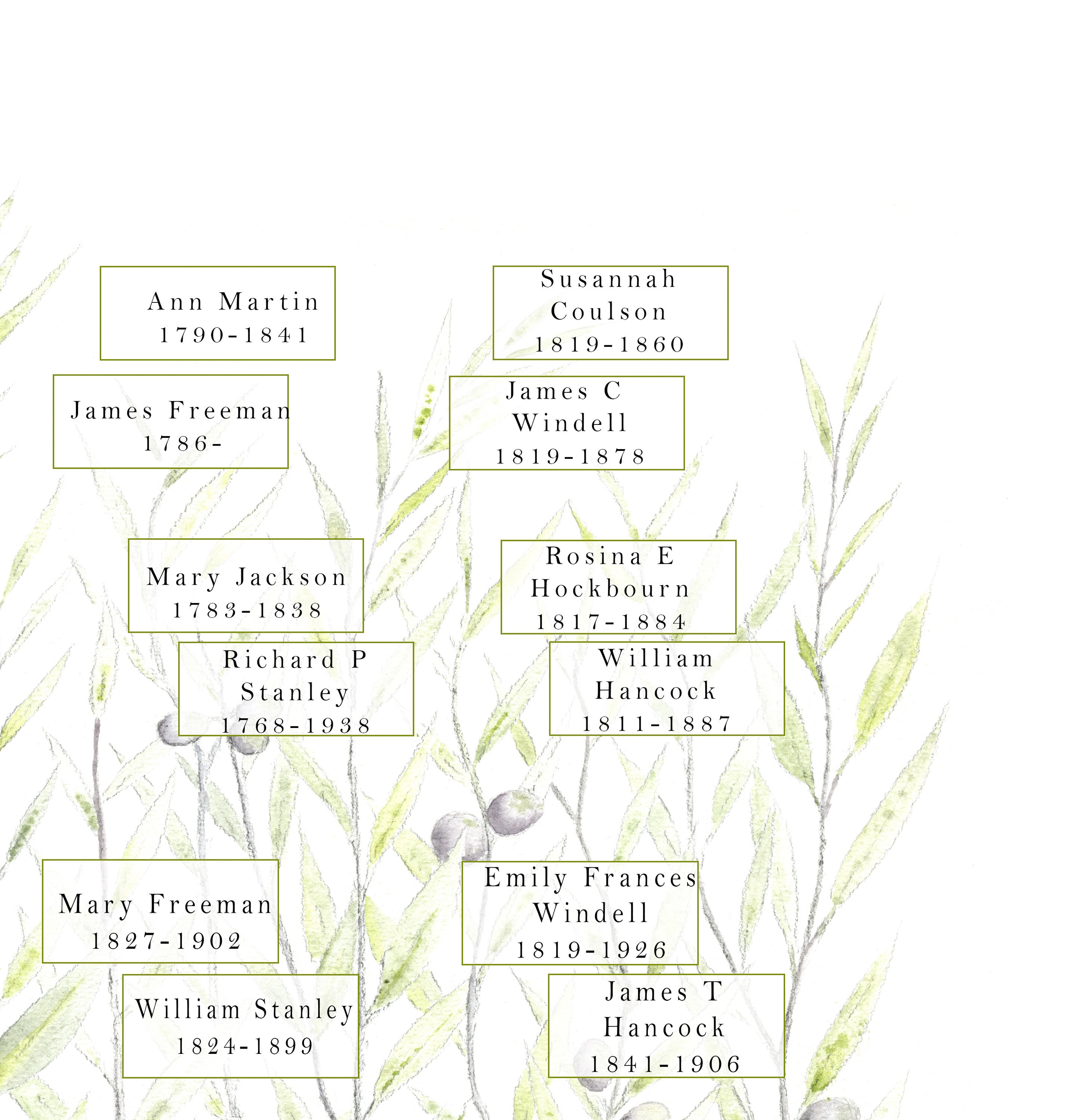 Watercolour Olive Family Tree for up to 7 Generations of - Etsy UK