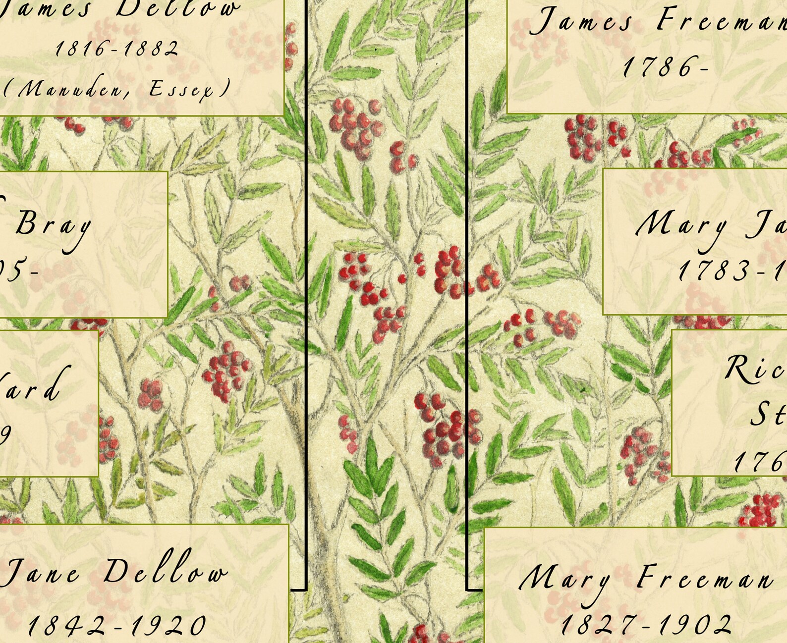 Framed Family Tree Genealogy Chart Ancestor Descendant Gift | Etsy