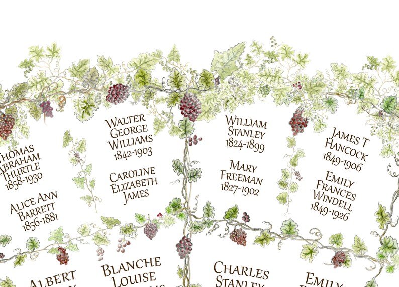 Grapevine Family Tree Chart in Jpeg Digital File Printable Format ...