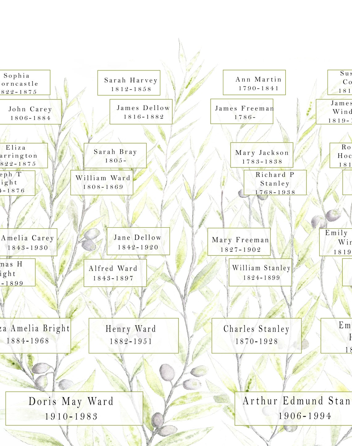 Watercolour Olive Family Tree for up to 7 Generations of - Etsy UK