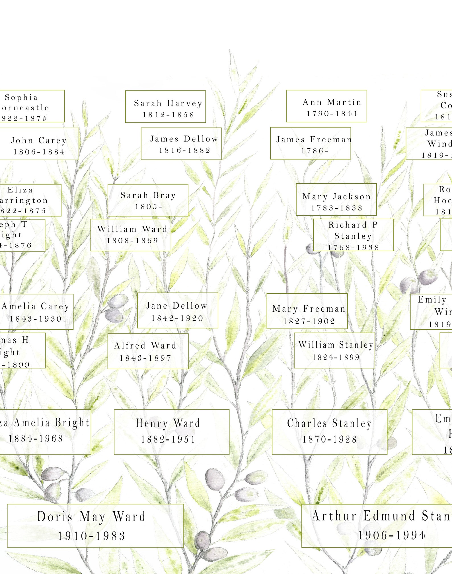 Watercolour Olive Family Tree for up to 7 Generations of - Etsy UK