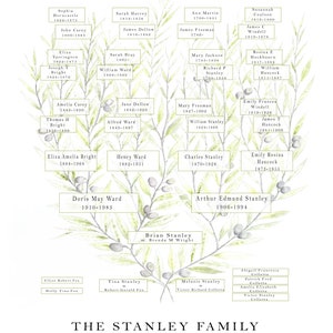 Watercolour Olive Family Tree for up to 7 Generations of - Etsy UK