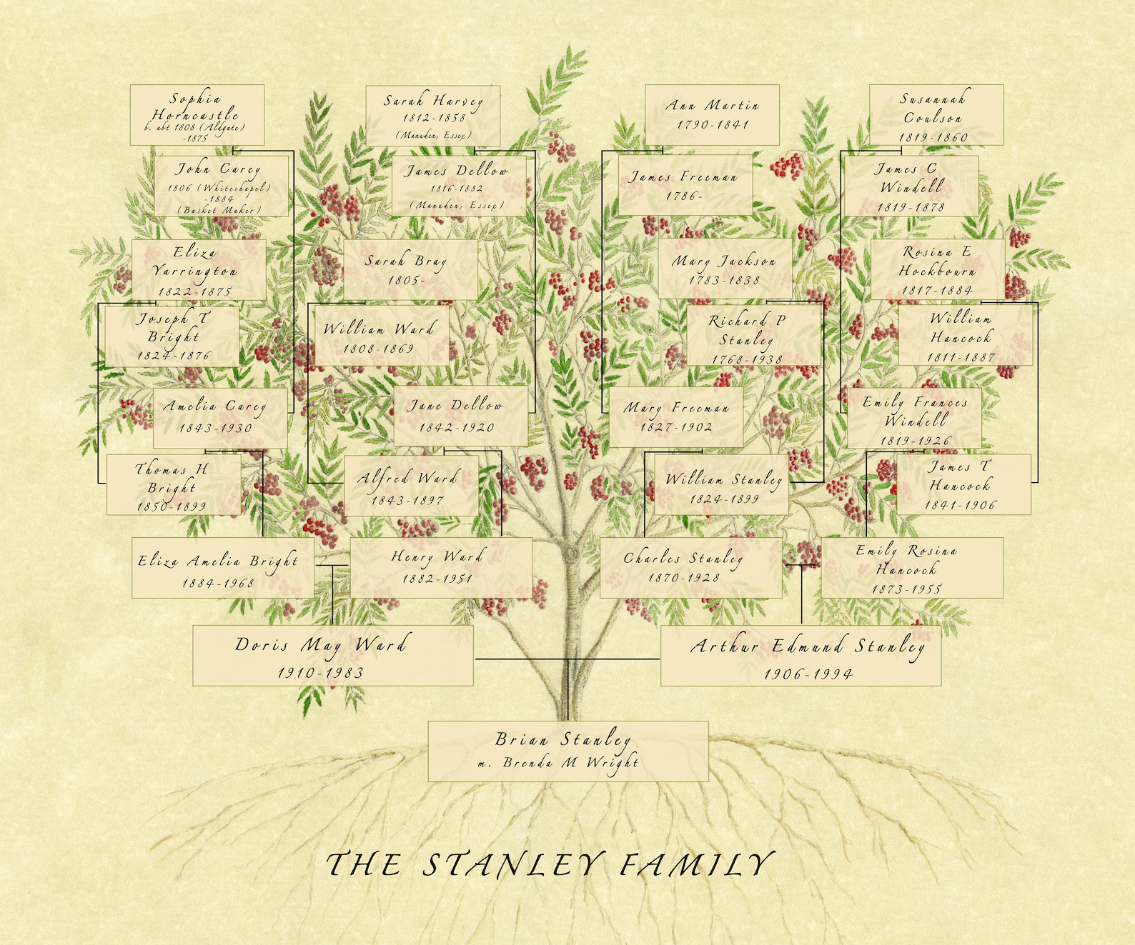Framed Family Tree, Genealogy Chart, Ancestor Descendant Gift ...