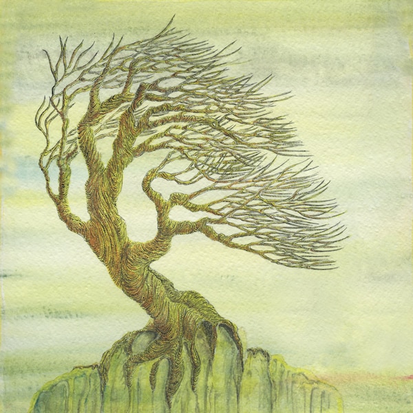 Windswept Tree - Etsy