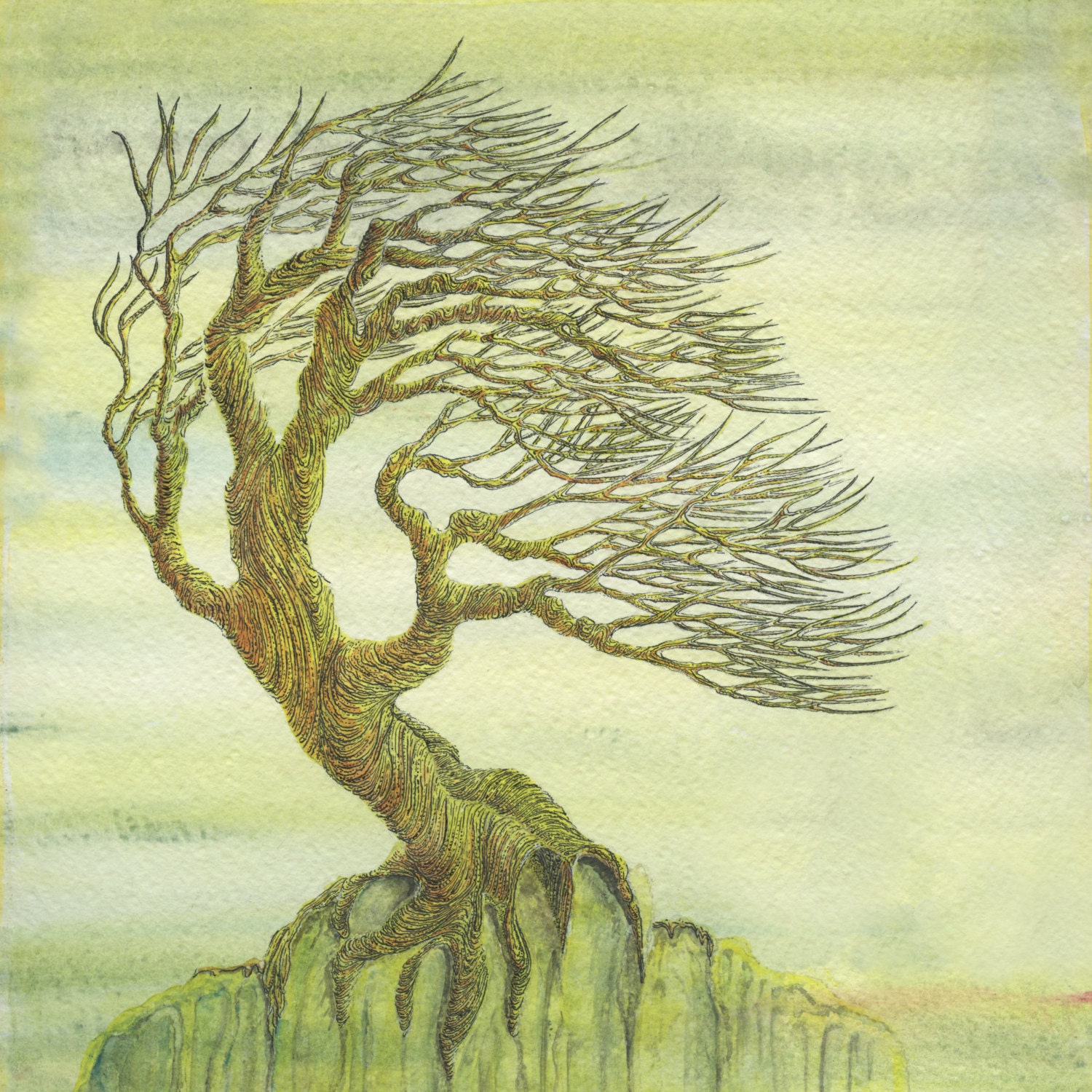 Abstract Tree Drawings