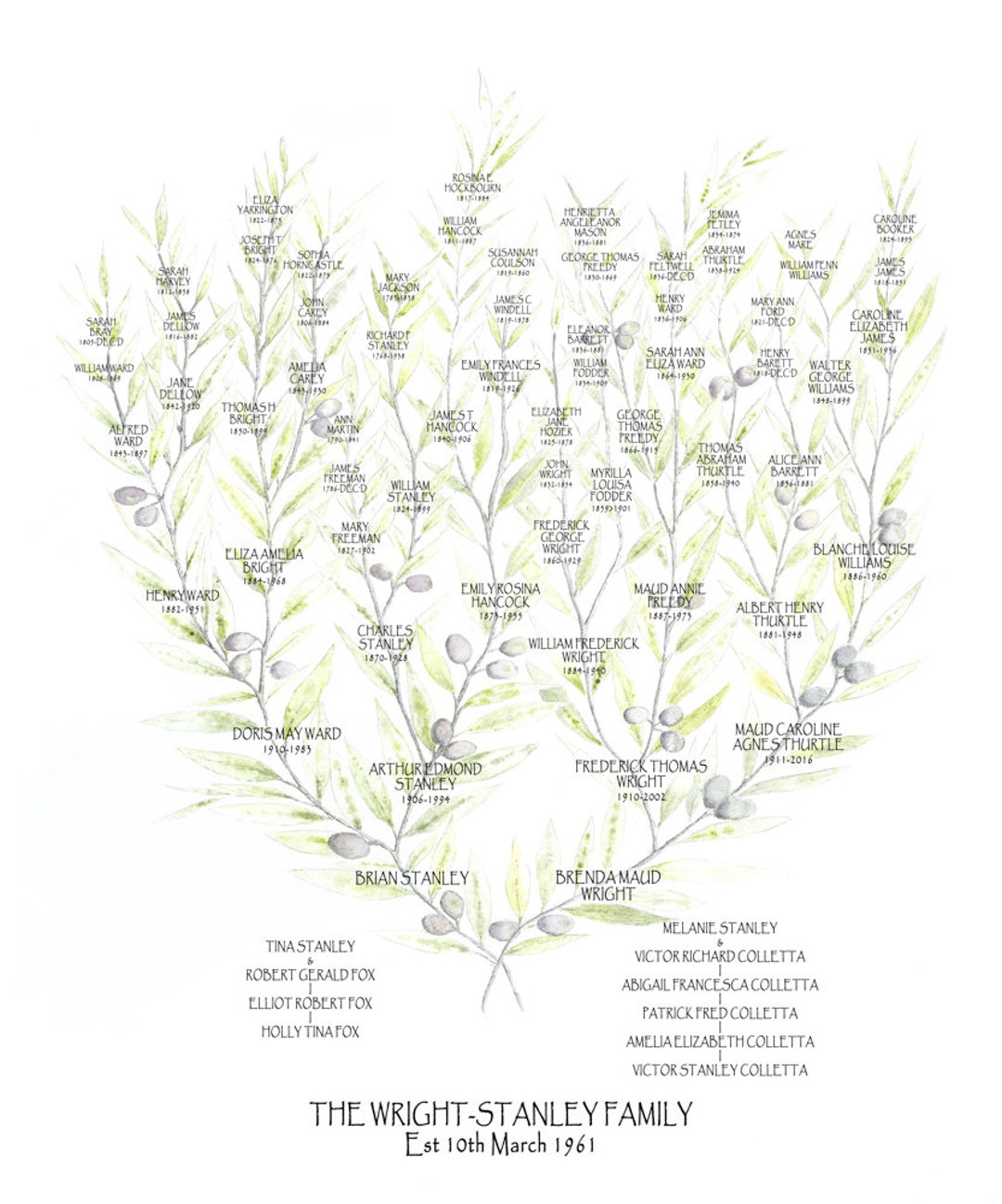 Printed Family Tree Chart Showing Ancestors and Descendants Within an ...