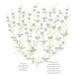 Olive Family Tree JPEG Personalised Ancestry Chart Custom - Etsy
