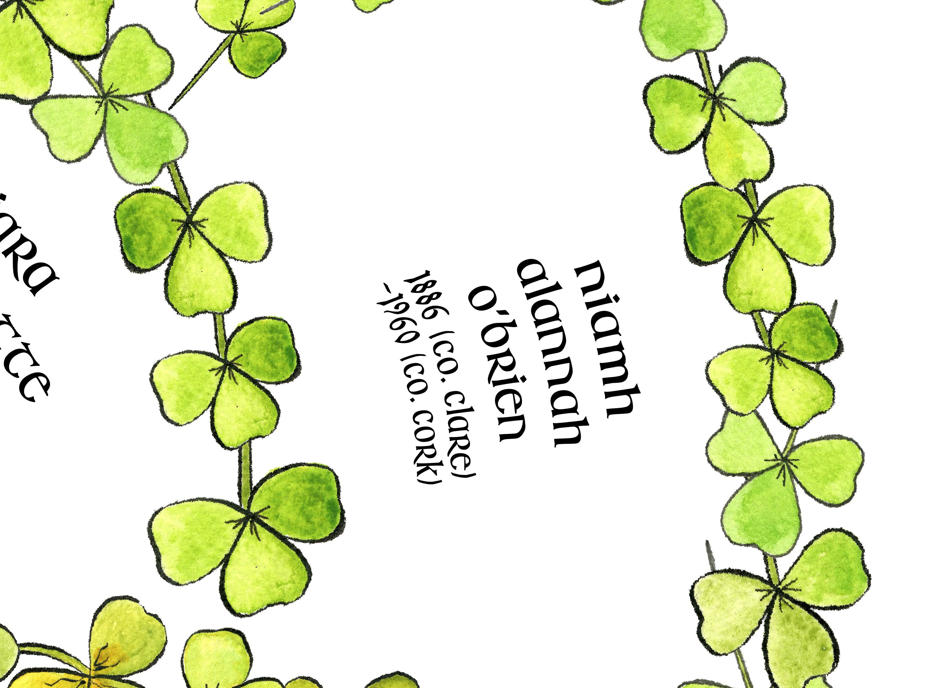 Framed Family Tree Irish Ancestry Chart Genealogy Fan Print - Etsy