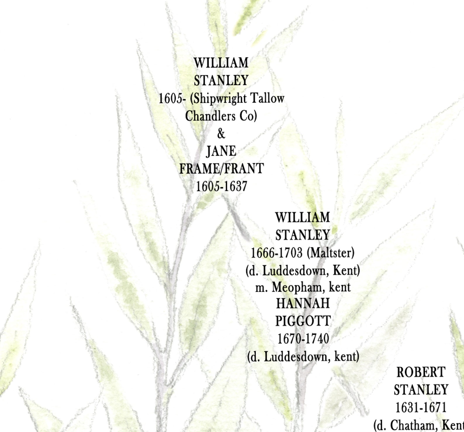 Olive Family Tree JPEG Personalised Ancestry Chart Custom | Etsy