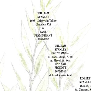 Olive Family Tree JPEG, Personalised Ancestry Chart, Custom Genealogy ...