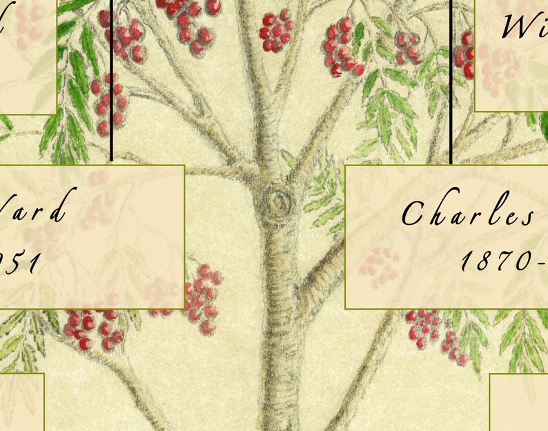 Framed Family Tree Art, Personalized Genealogy Chart, Rowan Tree ...