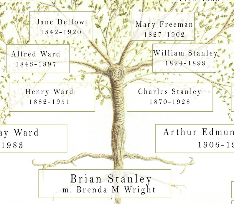 Family Tree Frame Custom Family Tree Genealogy Chart | Etsy UK