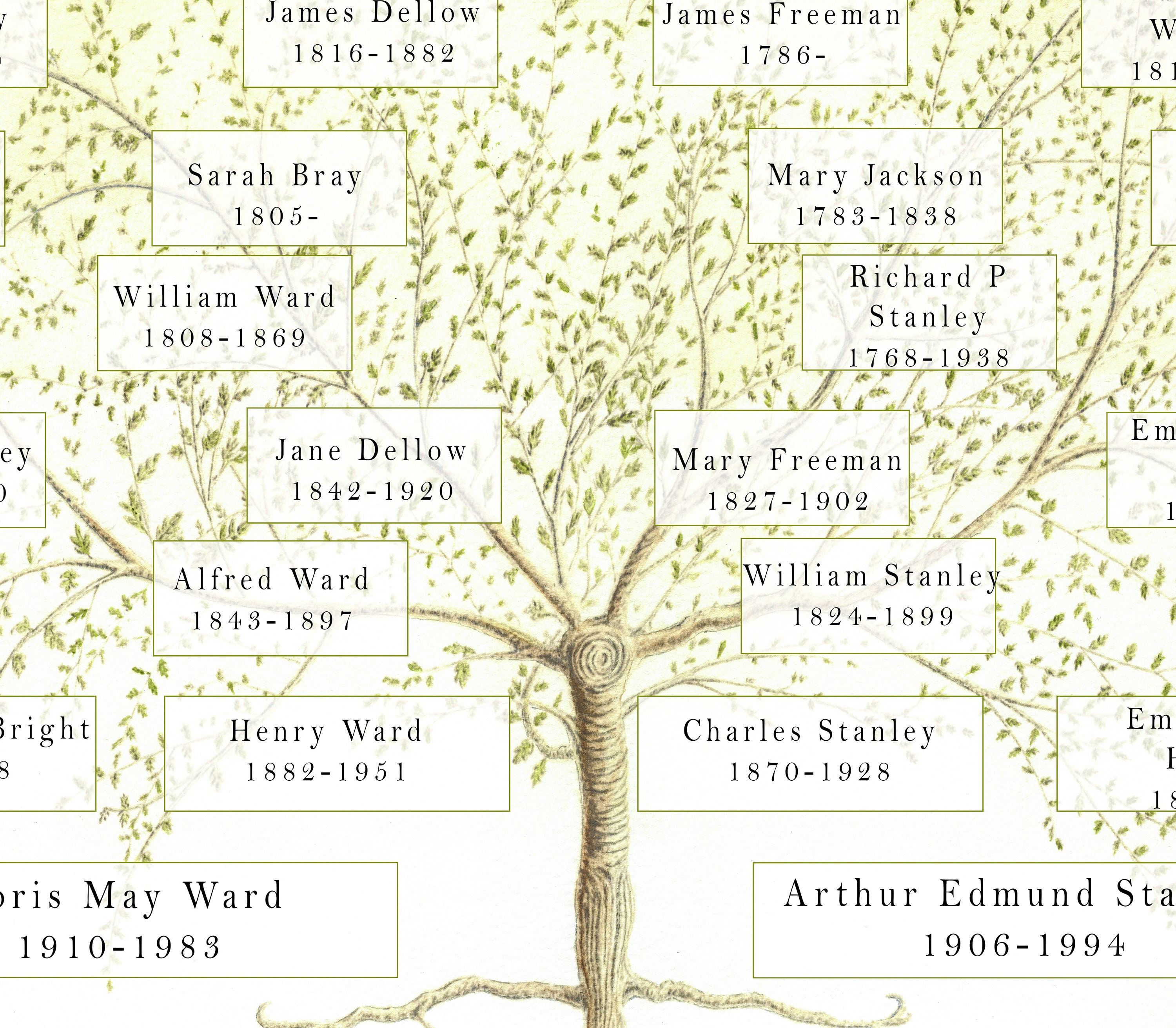 Family Tree Frame Custom Family Tree Genealogy Chart | Etsy UK