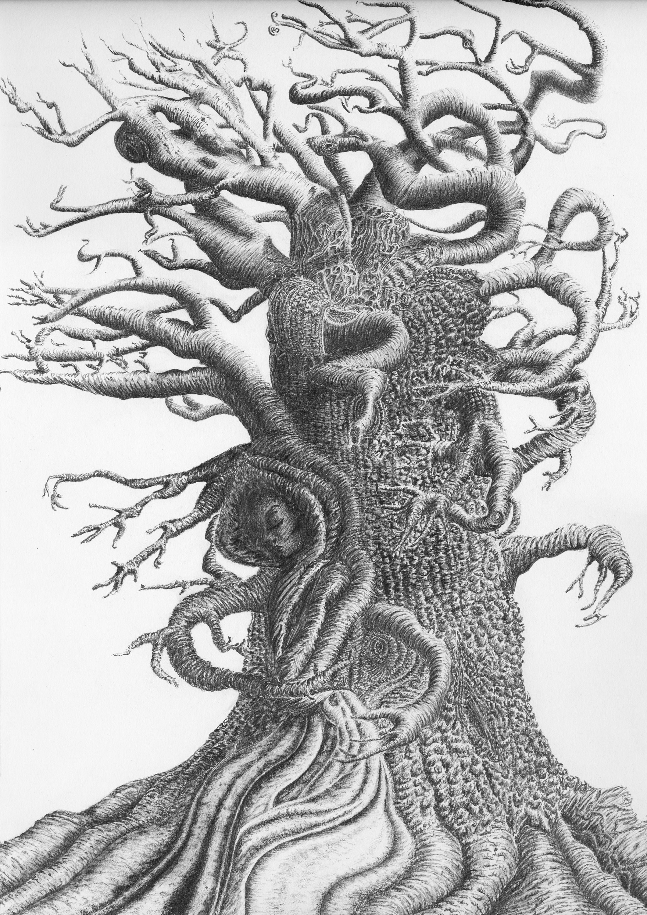 Abstract Pencil Drawing Trees