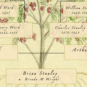 Framed Family Tree Art, Personalized Genealogy Chart, Rowan Tree ...