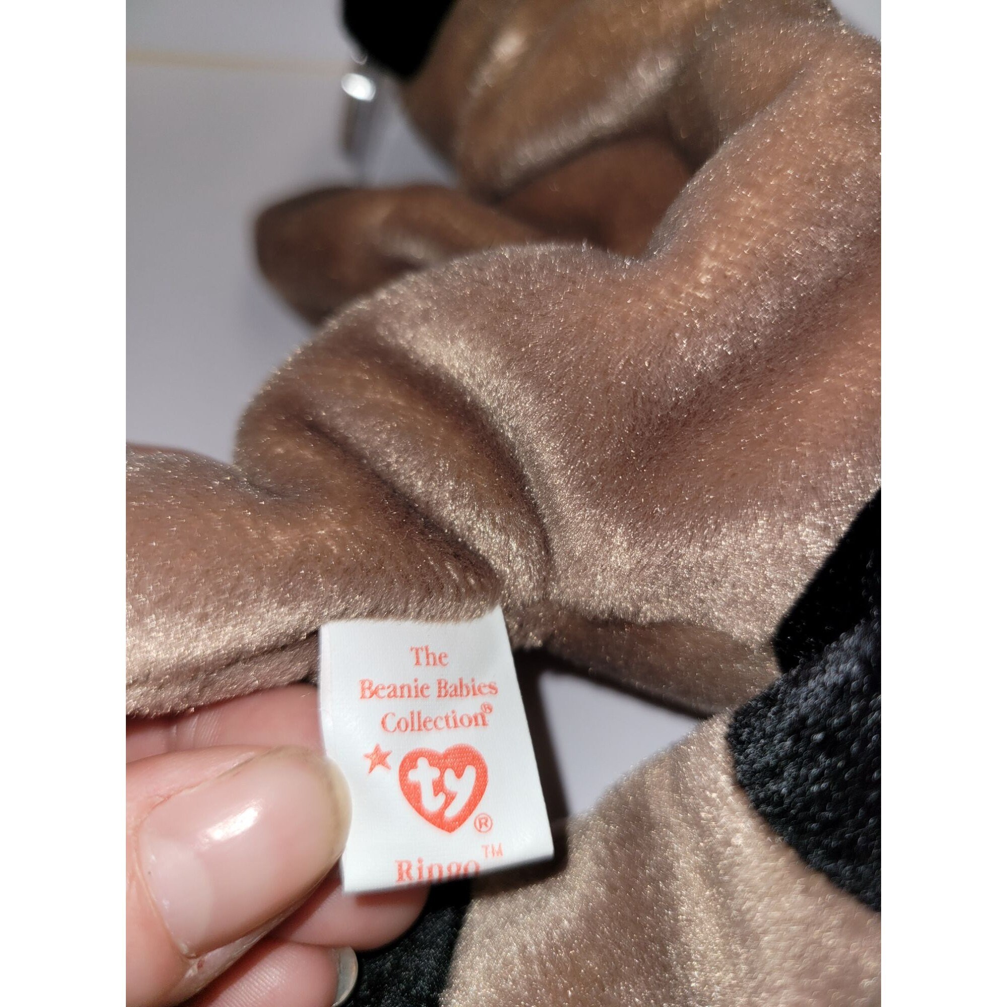 Ty Beanie Baby RINGO RACOON 1995 Tag Soft Toy RARE New Retired - Etsy