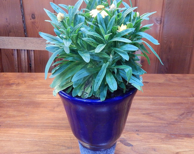 Cobalt Blue Porcelain Insulator - Etsy