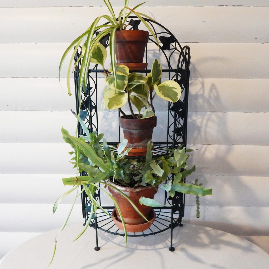 Vintage Plant Stand - Wrought Iron Plant Shelf - 3-tier Plant Stand- 3 ...